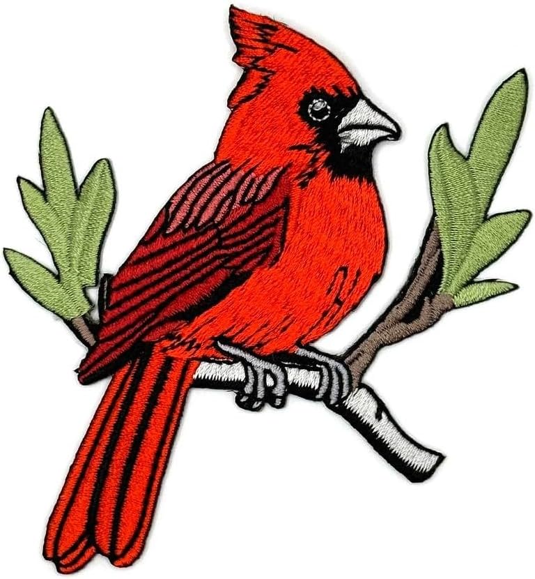 Amazon.com: 3.5" Owl Iron On Patch | Embroidered Aesthetic Bird Night ...