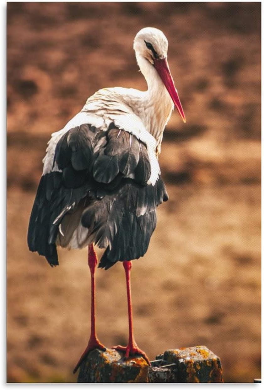 Amazon.com: Animals Large Bird White Stork on Brown Wooden 02 Room ...