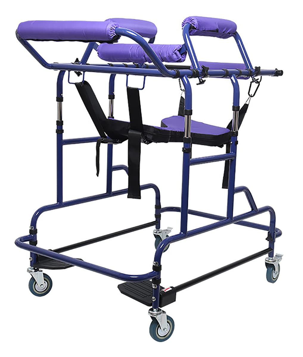 Buy YUNZHIDUAN Upright Walker, Walkers for Seniors, Hemiplegia ...