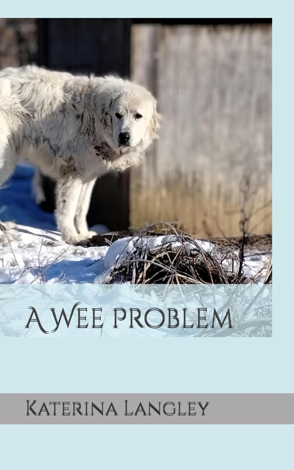 Amazon.com: A Wee Problem: 9798345529232: Langley, Katerina: Books