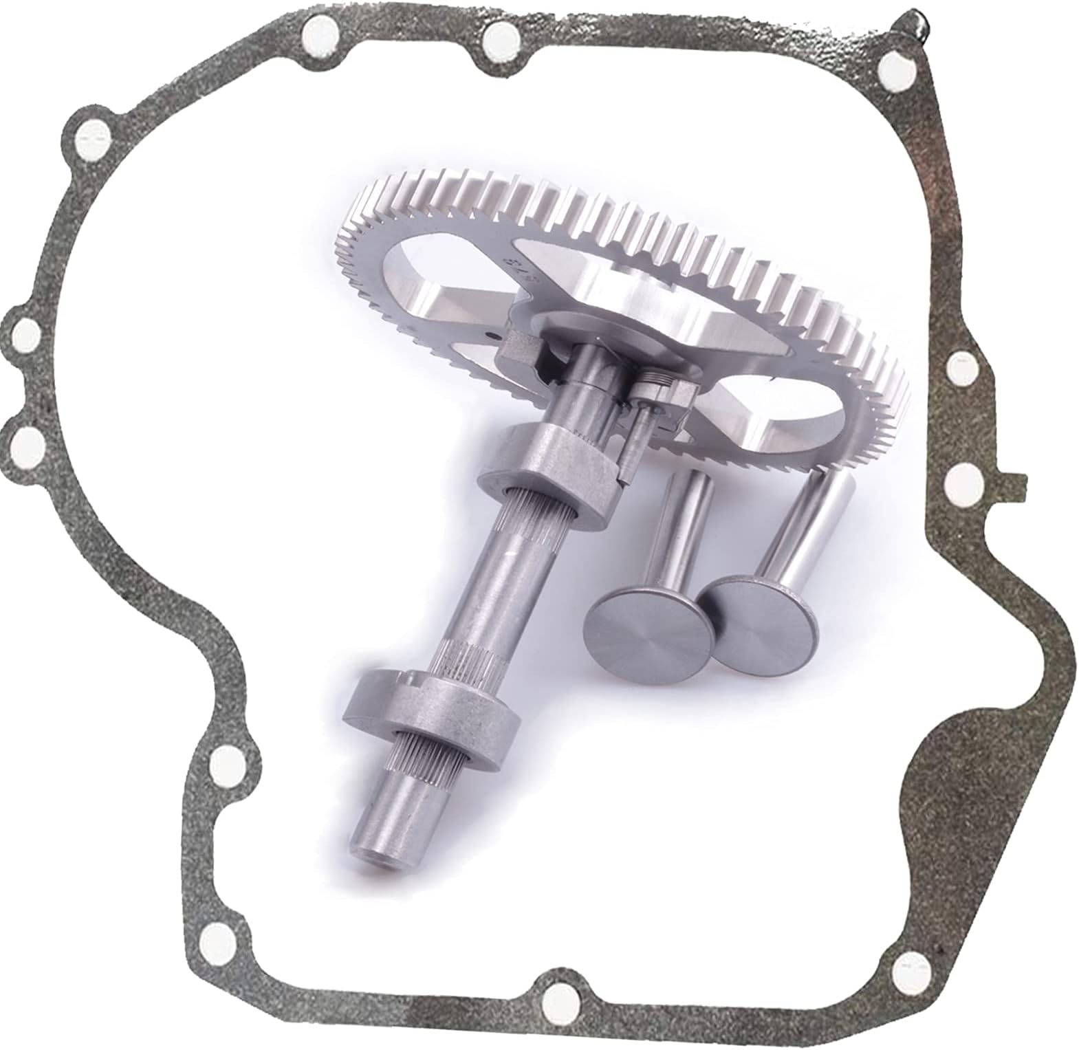 Amazon.com: 84005207 793880 Camshaft Kit & 691968 Governor & Oil ...