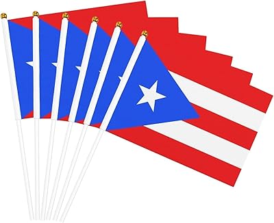 Amazon.com : Anley Texas State Mini Flag 12 Pack - Hand Held Small ...