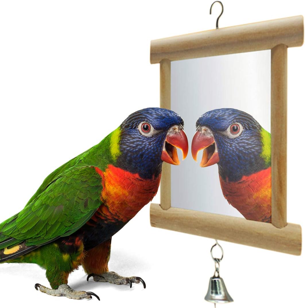 Boylos Bird Mirror, Wooden Double Mirror with Bell for Bird, Parrots ...