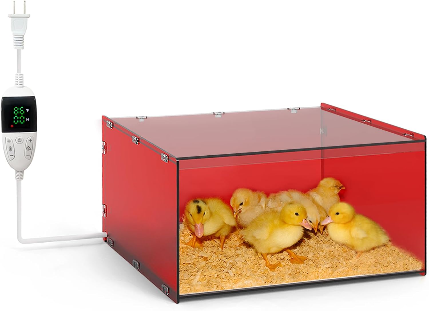 Amazon.com : HHXRISE Chick Brooder Brooding Box, Brooder Heater with ...