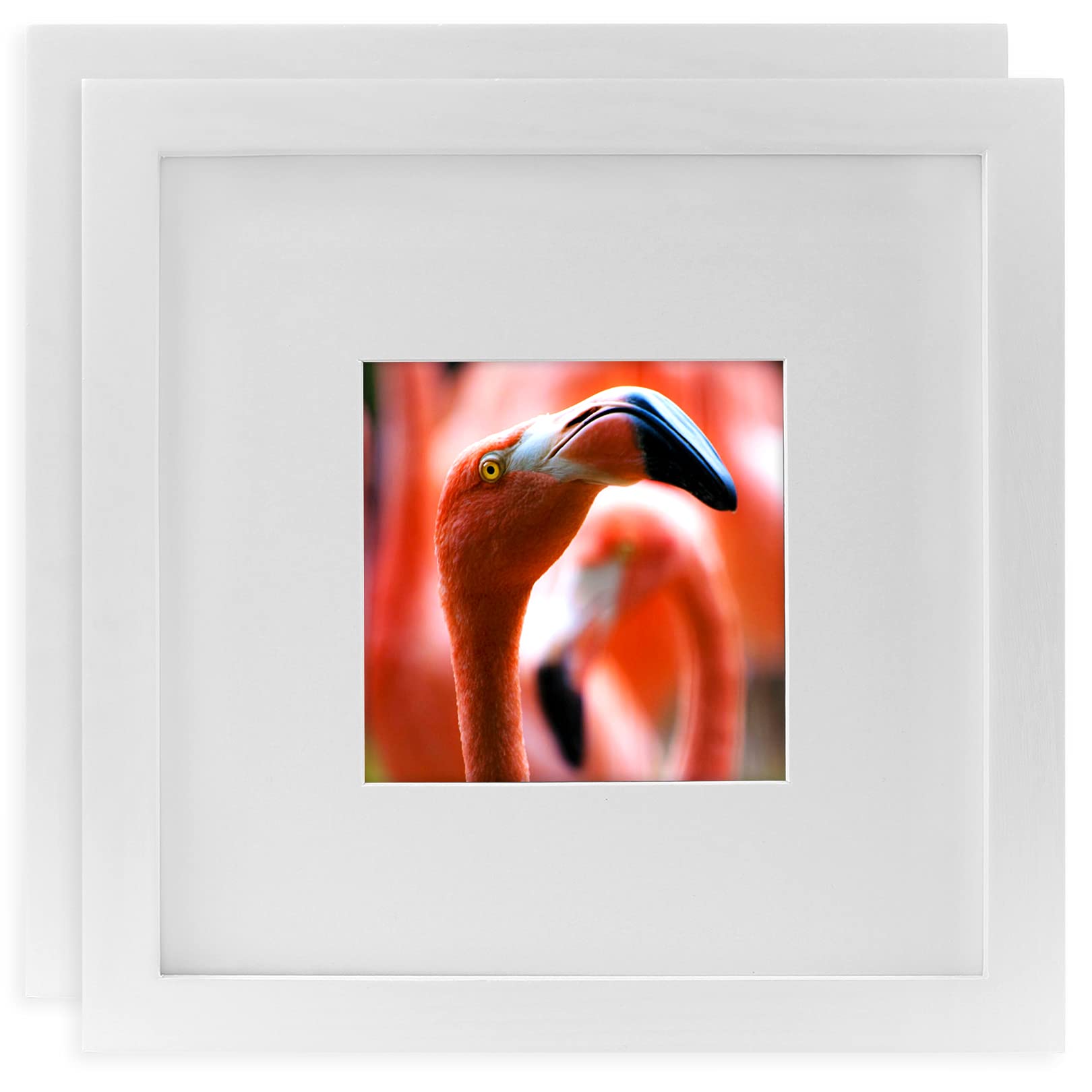 Amazon.com: Picture Frames 8x8 White 2 Pack Nature Solid Wood for Wall ...