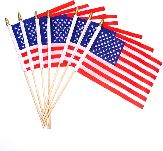 Amazon.com : 25 Pack Small American Flags on Stick 8x12 Inch/Mini ...