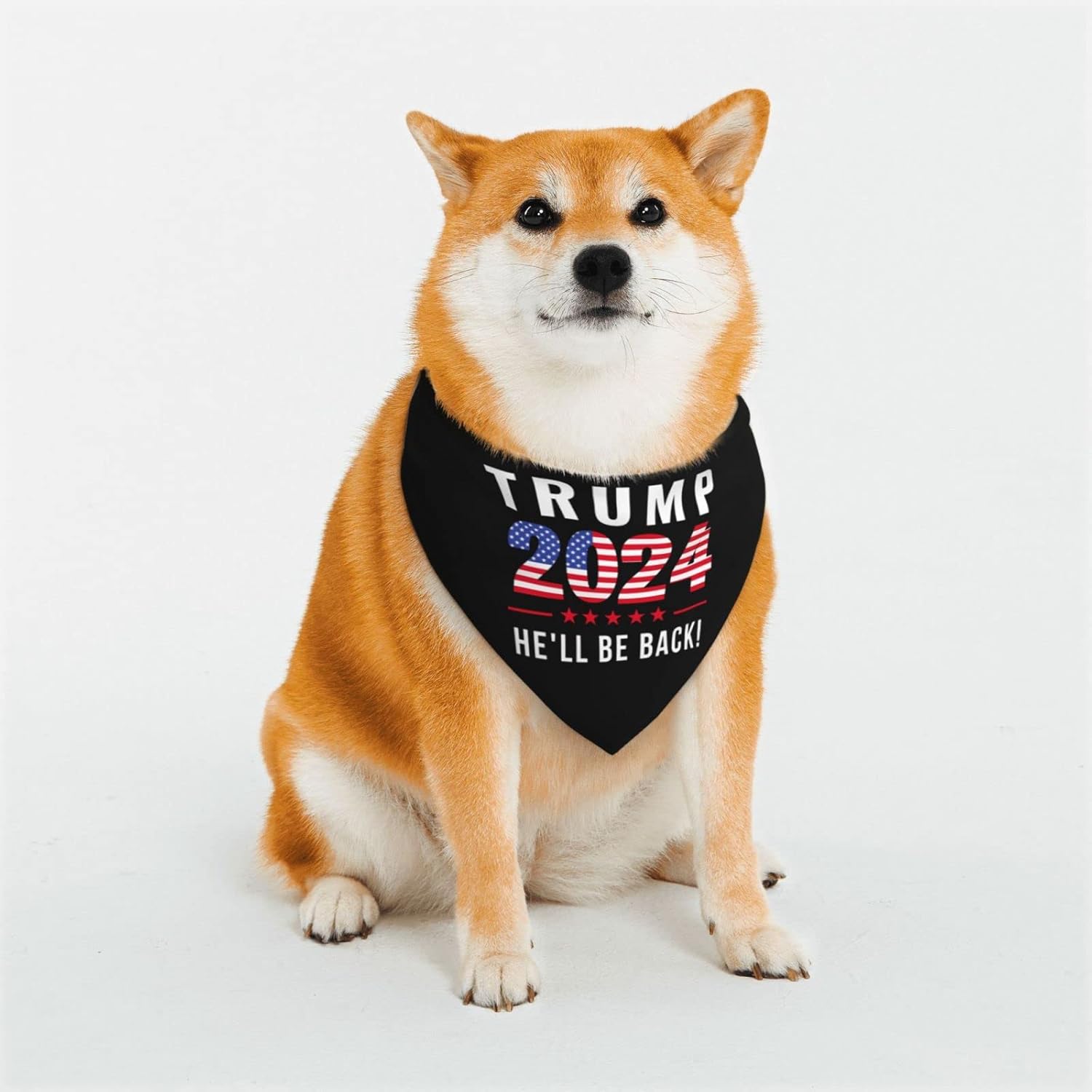 Amazon.com : Trump 2024 Flag He'll Be Back Dog Bandana Dog Bibs Pet ...