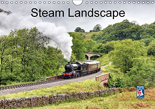 Steam Landscape 2018: British Steam Locomotives Pictured in Beautiful ...