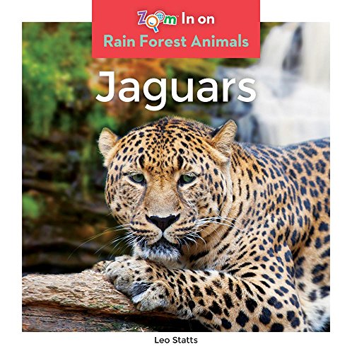 Jaguar Books for Children | Rainforest Unit Study