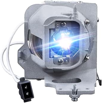 Amazon.com: JISIZKY BL-FP240E Original UHP240W Replacement Lamp Bulb ...