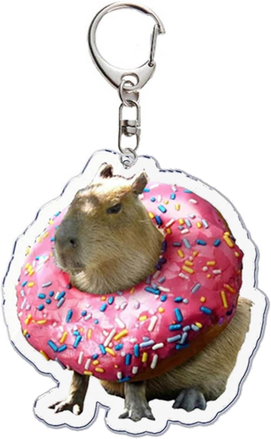 LIANXUE Cute Acrylic Capybara Keychain, Adorable Keyring for Keys and ...