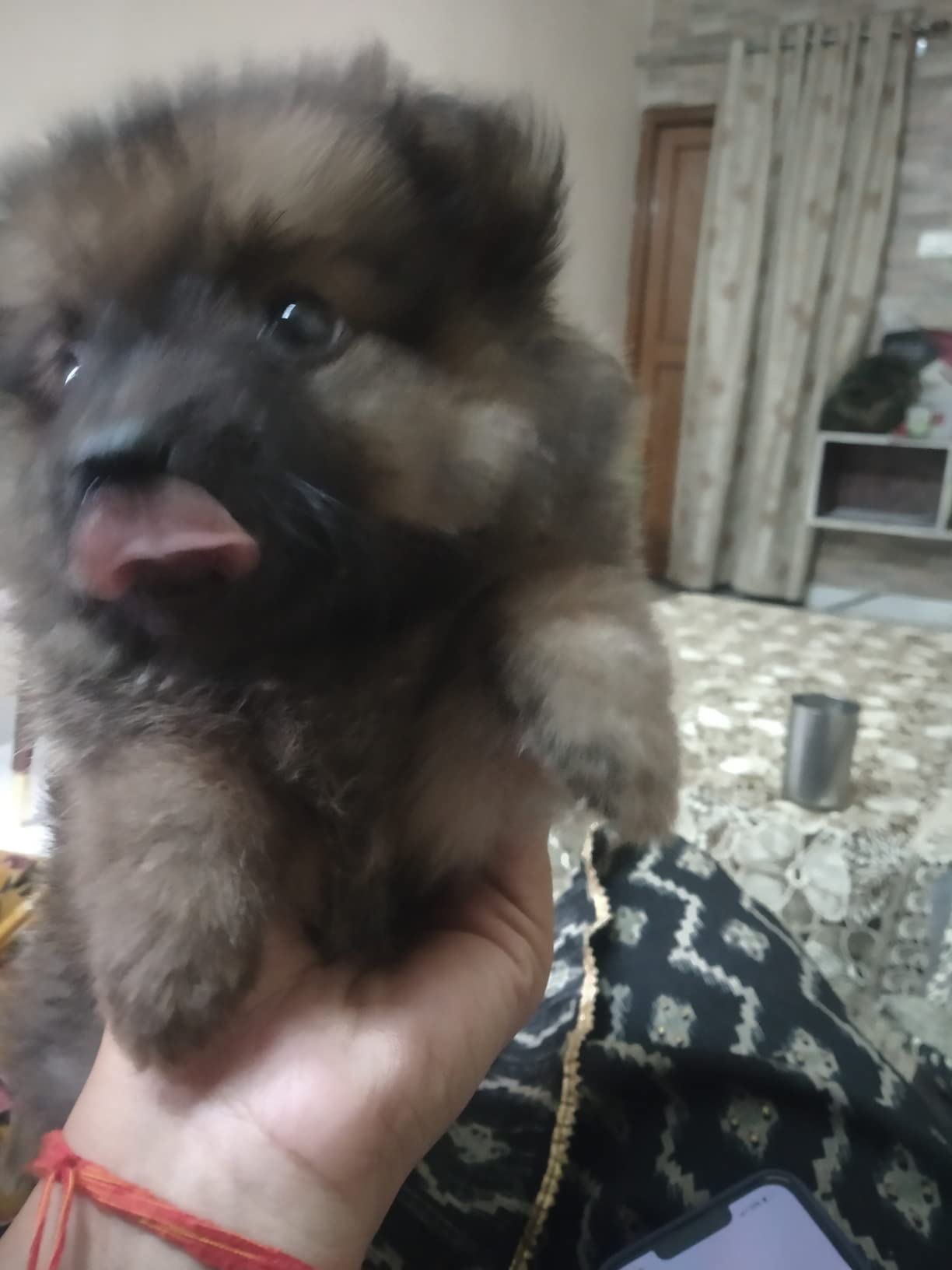 OLLIST Rawhide Dog Munchy Sticks Chicken Flavours Chew Sticks Long ...