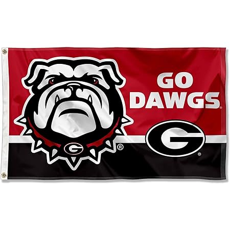Amazon.com : Georgia Bulldogs 2022 Four-Time College Football Champions ...