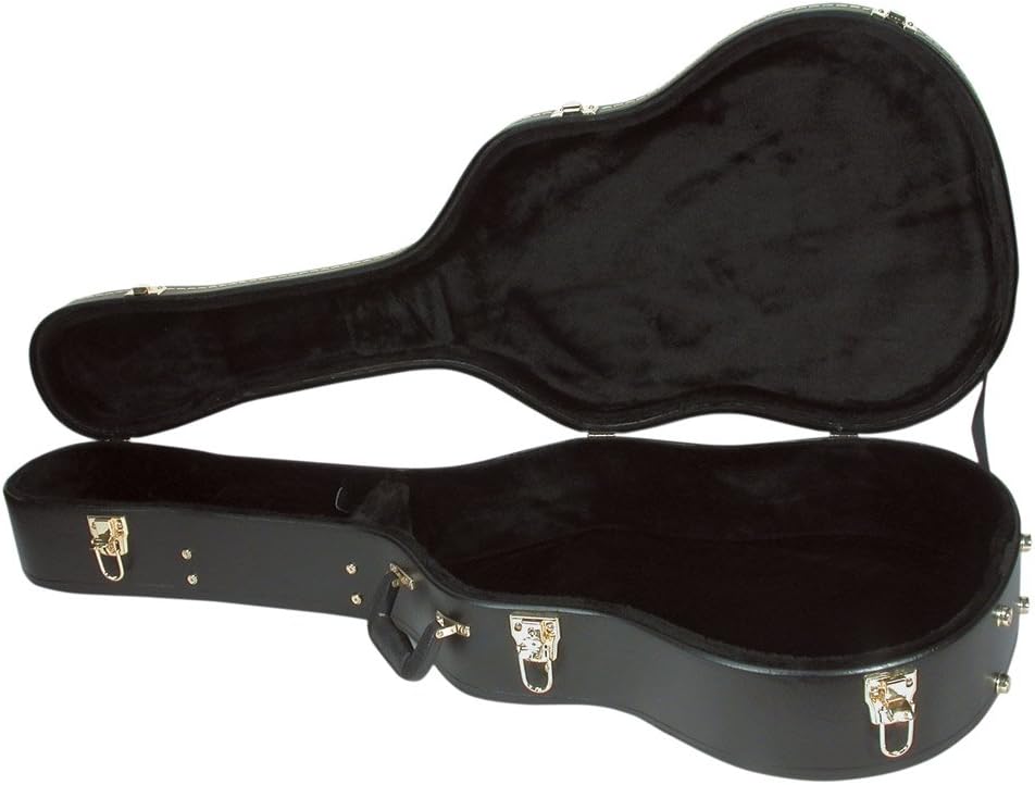 Amazon.com: ProRockGear ABS Deluxe 335 Style Guitar Case : Musical ...