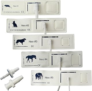 Understanding Your Cat's Blood Pressure: A Guide To Measurement | PetShun
