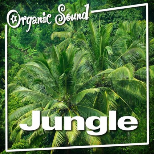 Amazon.com: Jungle (Nature Sounds) : Organic Sound: Digital Music