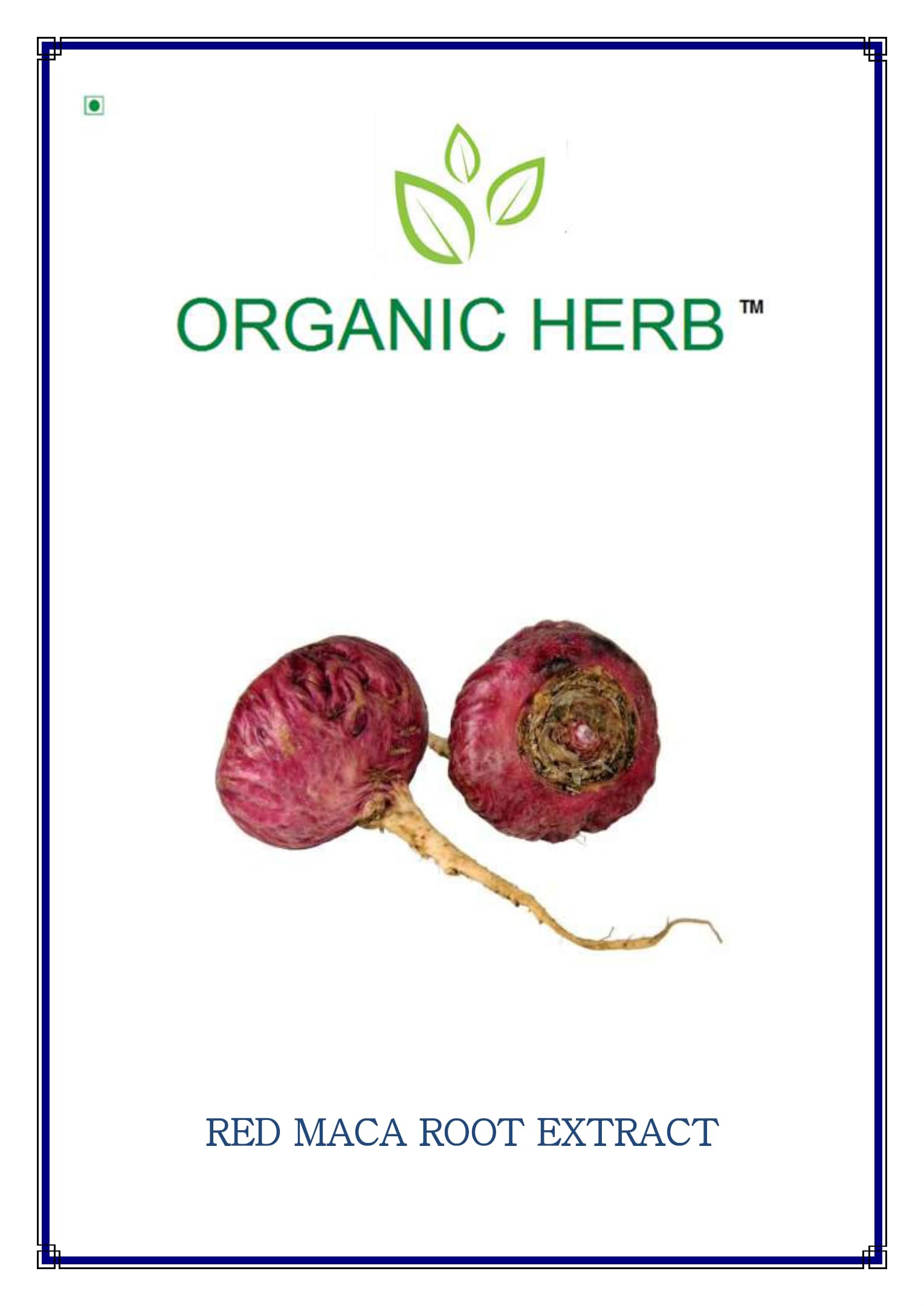 Organic Herb Red maca powder 100 g : Amazon.in: Health & Personal Care