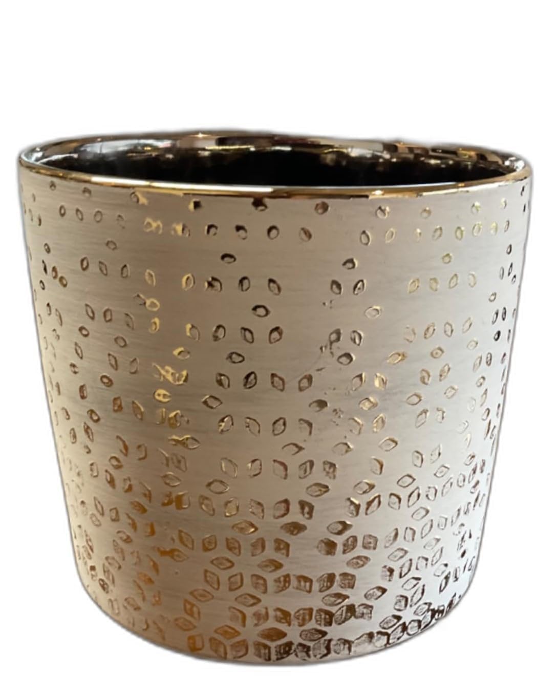 FOX & FERN Premium Ceramic Planter for Vibrant Garden | Enhance The ...