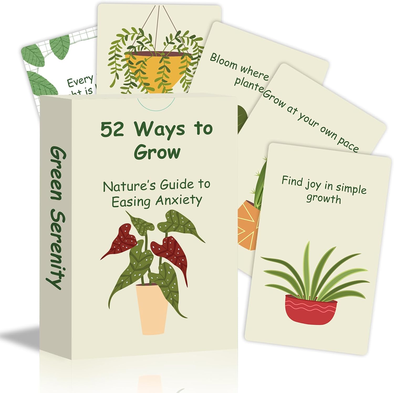 Amazon.com: Plant Affirmation Cards for Women Balance — 52 Positive and ...