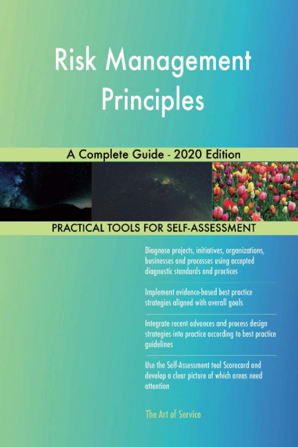 Buy Risk Management Principles A Complete Guide - 2020 Edition Book ...