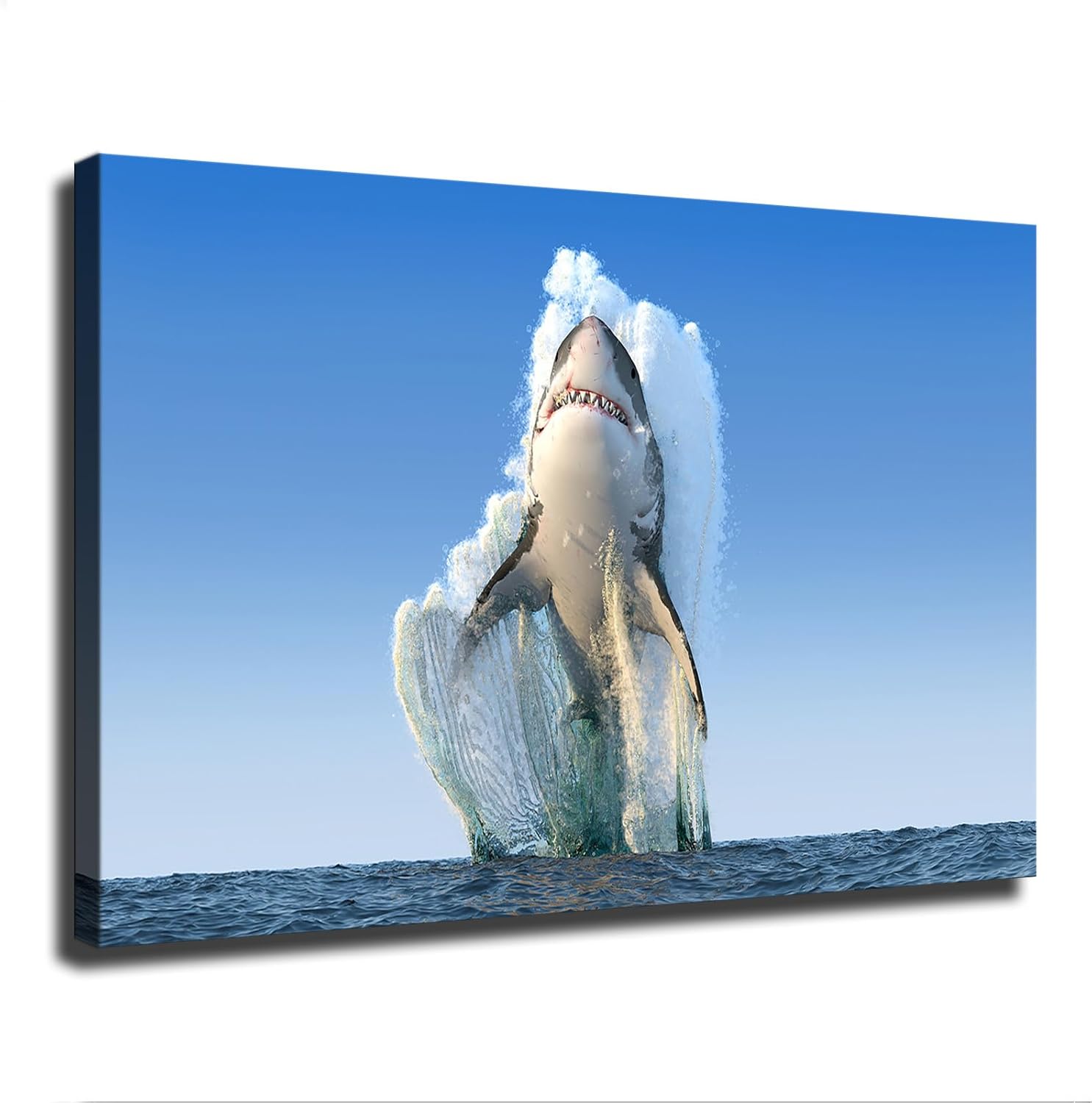Amazon.com: XIHONG Great White Shark Animal Poster Picture Print Canvas ...