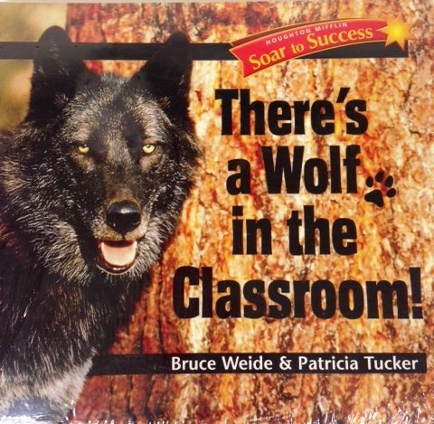 Houghton Mifflin Reading Intervention: Soar to Success Student Book ...