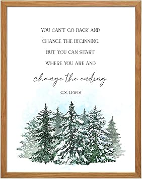 Amazon.com: CS Lewis Inspirational quote Wall Art 11x14 FRAMED ...