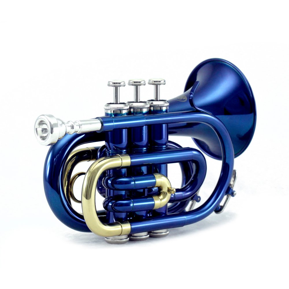 Musical Instrument For Students Ashthorpe Bb Pocket Trumpet With Gold ...