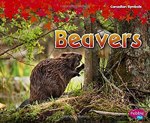 Beavers (Canadian Symbols): Crewe, Sabrina: 9781491470978: Amazon.com ...