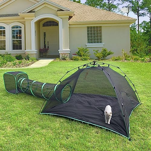 Cat Enclosures – The 15 best products compared - Wild Explained