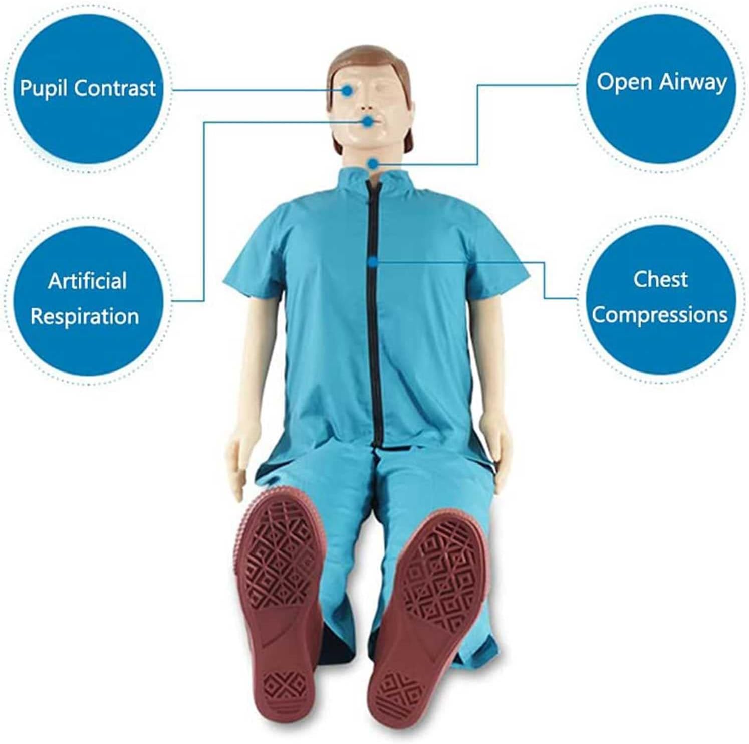 Maniquí humano realista, multifuncional, certificación de seguridad ...