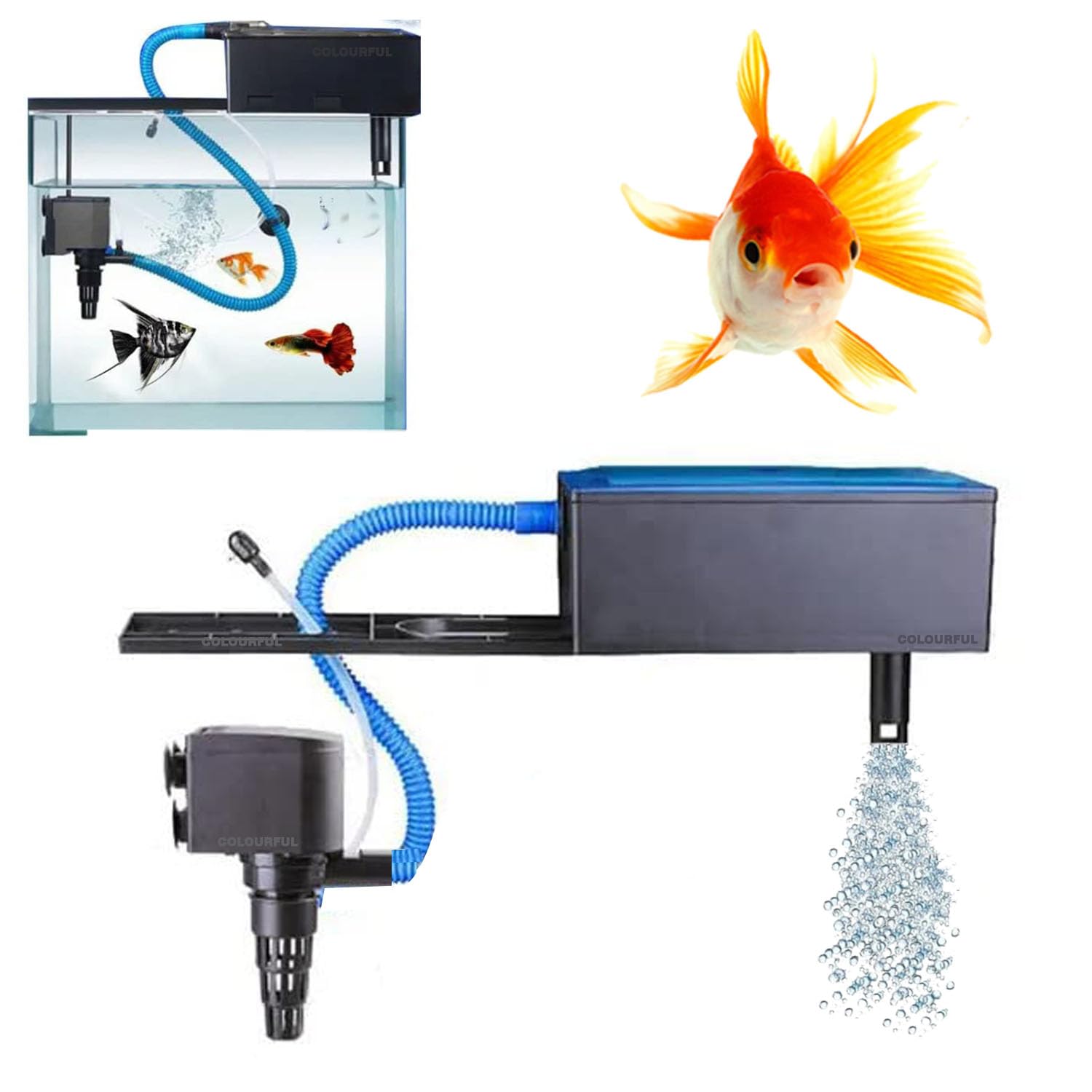 COLOURFUL Top Filter for Aquarium | Biological Filtration for Salt and ...