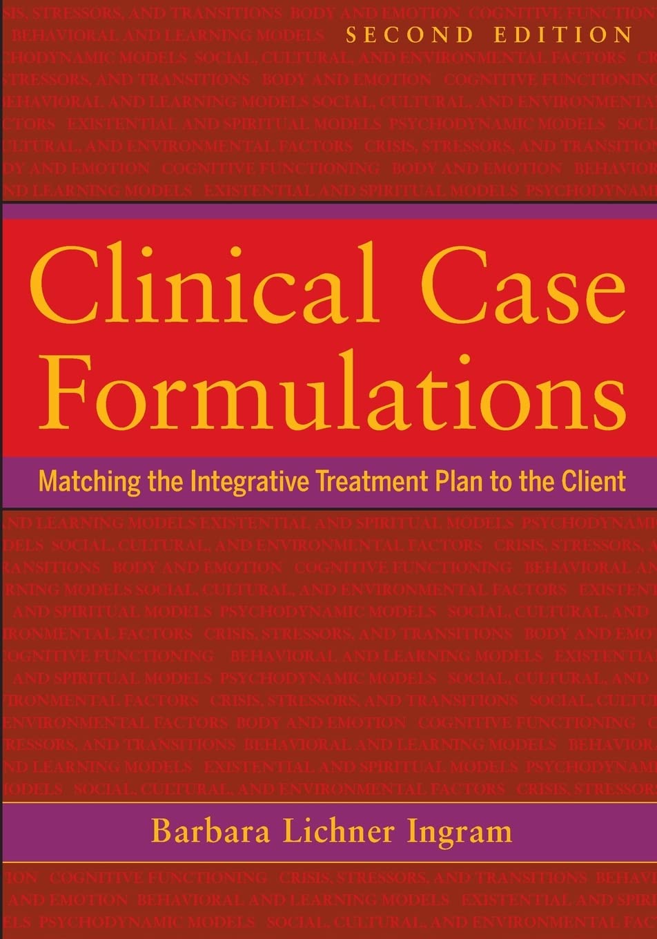 Amazon.com: Clinical Case Formulations: Matching the Integrative ...