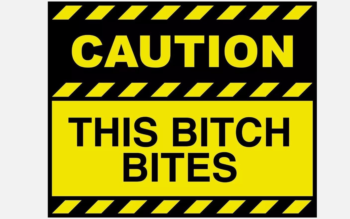 Amazon.com - Stickers for Everyone Sticker This Bitch Bites Caution ...