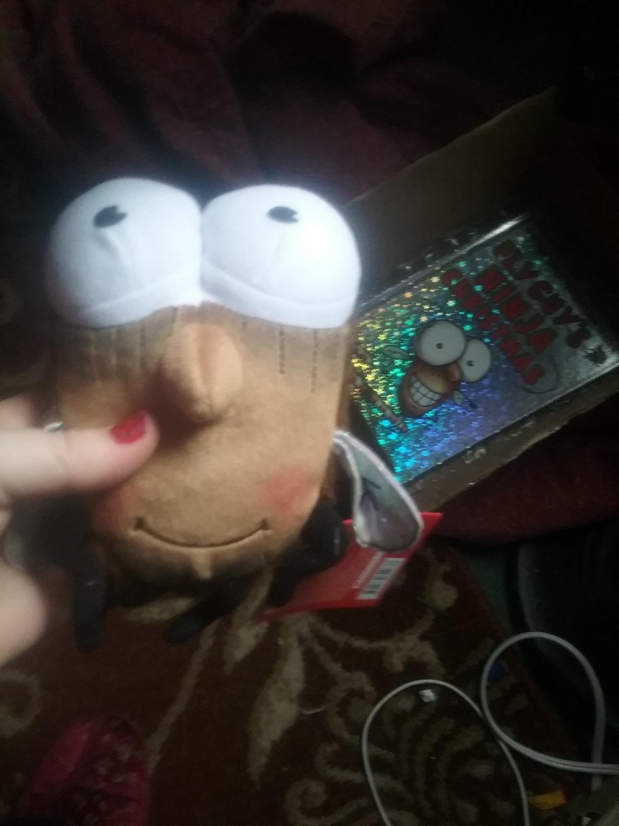 Fly Guy's Ninja Christmas (Fly Guy #16) (16): Arnold, Tedd, Arnold ...