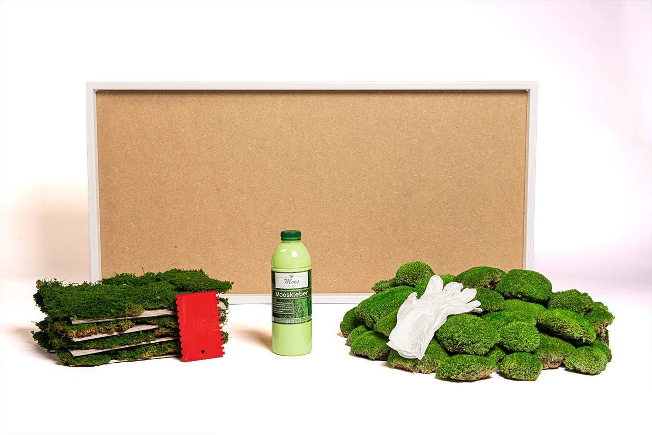 DIY Moosbild selber Machen, Wandbilder selber kleben, Moosbilder selber ...