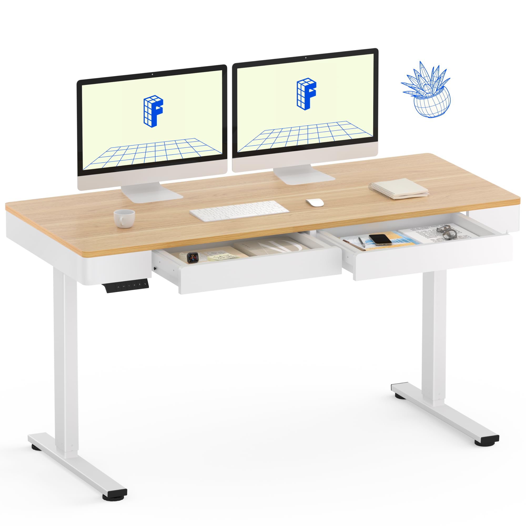Snapklik.com : FLEXISPOT Q5 Standing Desk