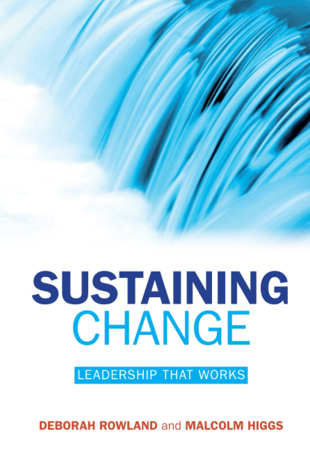Amazon.com: Sustaining Change: Leadership That Works: 9780470724545 ...