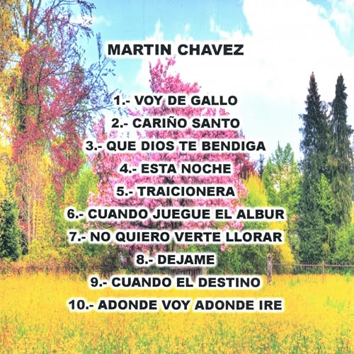 Amazon.com: 10 Canciones : Martin Chavez: Digital Music
