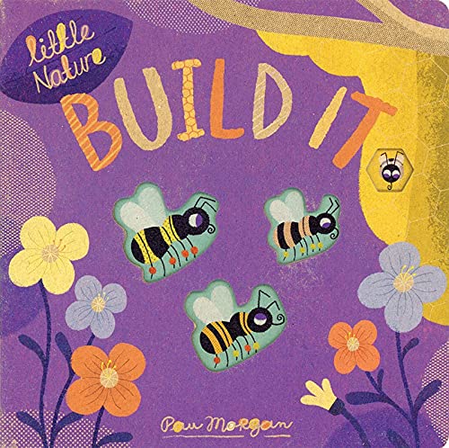 Build It (Little Nature) : Otter, Isabel, Morgan, Pau: Amazon.in: Books