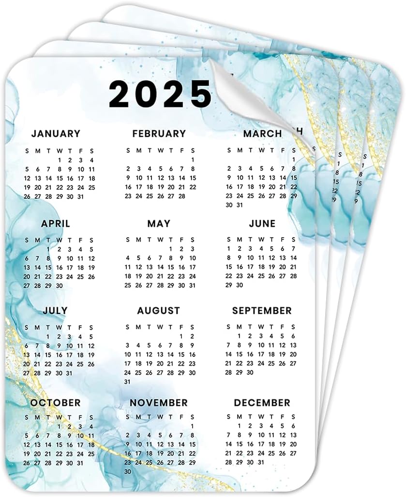 Amazon.com: Andaz Press Peel And Stick Calendar For Refrigerator ...