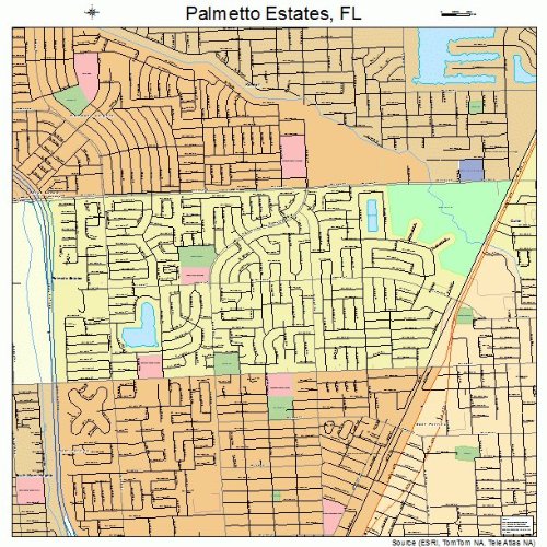 Amazon.com: Large Street & Road Map of Palmetto Estates, Florida FL ...