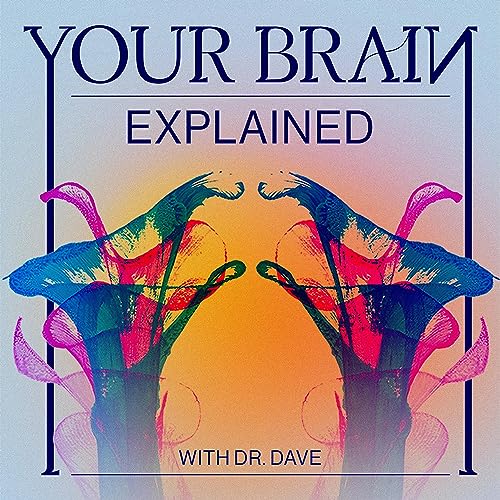 Your Brain Explained : Dr Dave Rabin: Amazon.co.uk: Audible Books ...