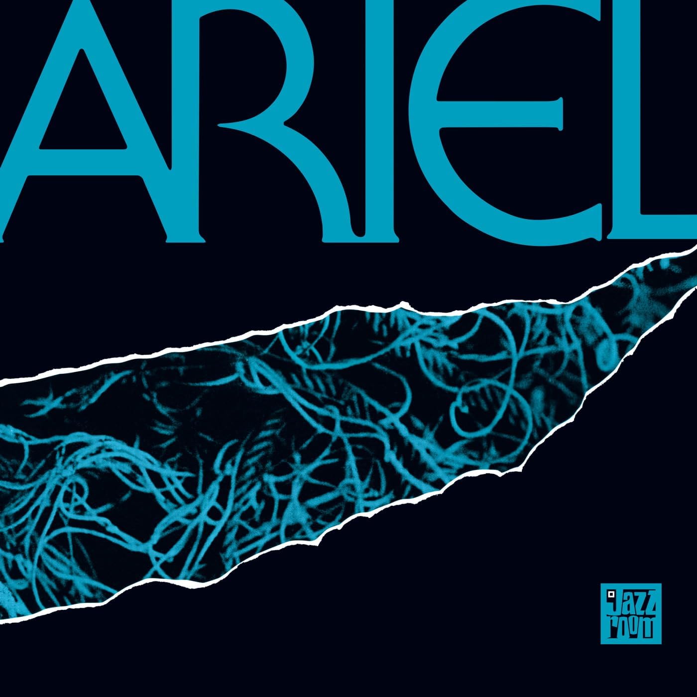 Ariel [VINYL] by Ariel: Amazon.co.uk: CDs & Vinyl