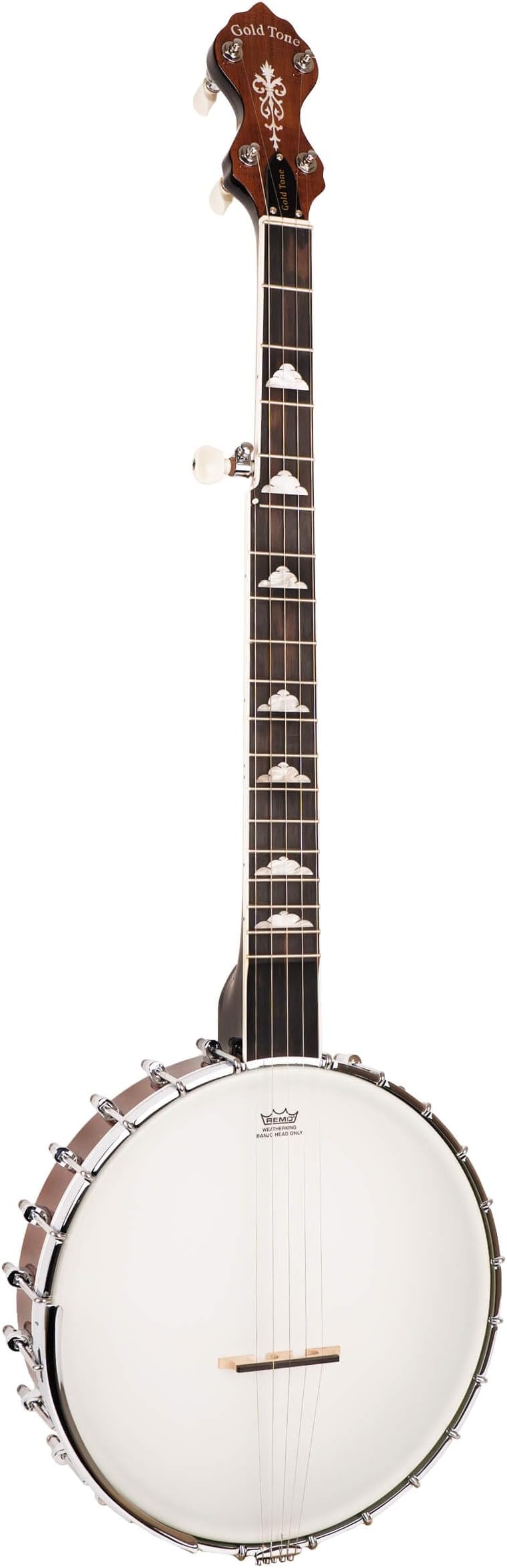 Amazon.com: Gold Tone WL-250 White Ladye Openback Banjo (Five String ...