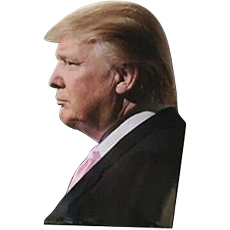 Amazon.com: Thumbs Up UK Ride with Trump, Car Window Cling (Left ...