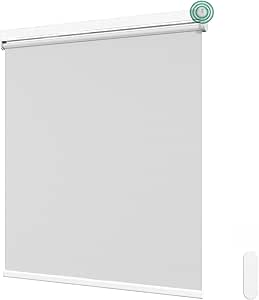Amazon.com: Allesin Motorized Roller Blinds with Remote Control for Windows, Blackout Smart ...