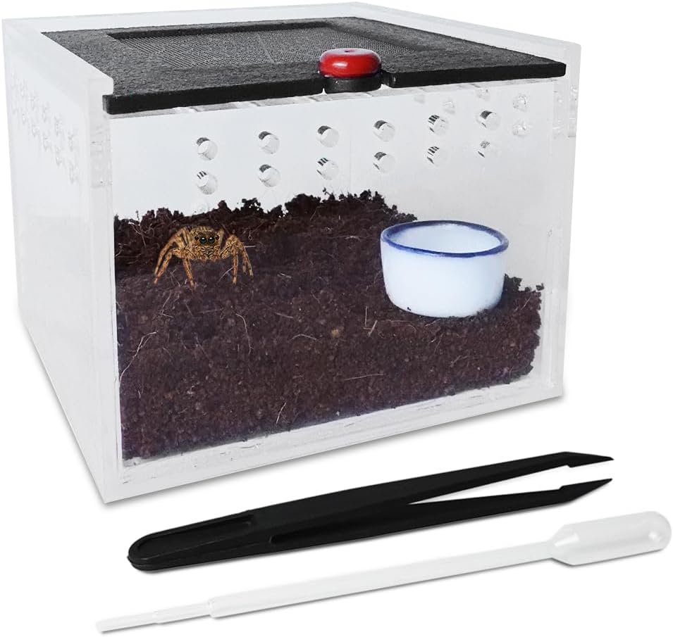 Amazon.com : GKPONSX Jumping Spider Enclosure, Small Insect Breeding ...