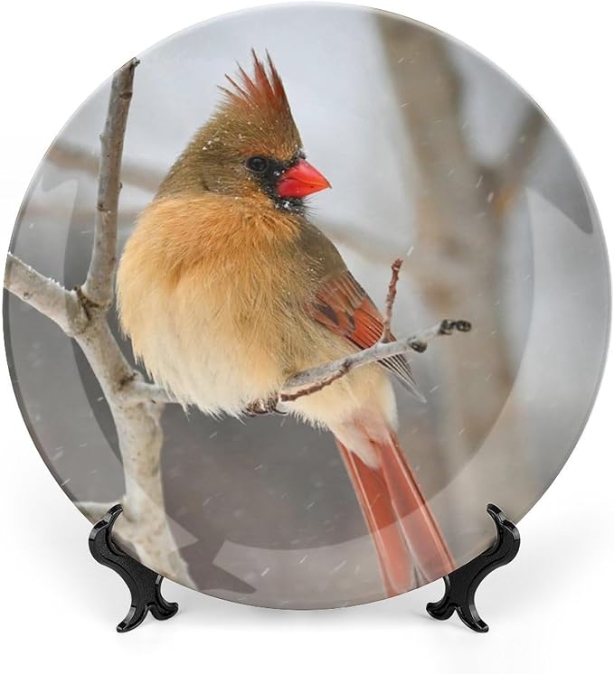 Amazon.com: Winter Red Bird Cardinal Decorative Plate for Kitchen ...