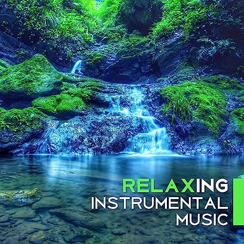 Amazon.com: Relaxing Instrumental Music – Sounds of Rain, Birds for ...